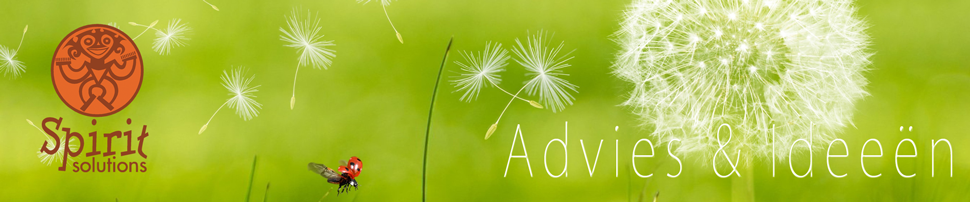 Spirit Solutions BV - over Spirit Solutions